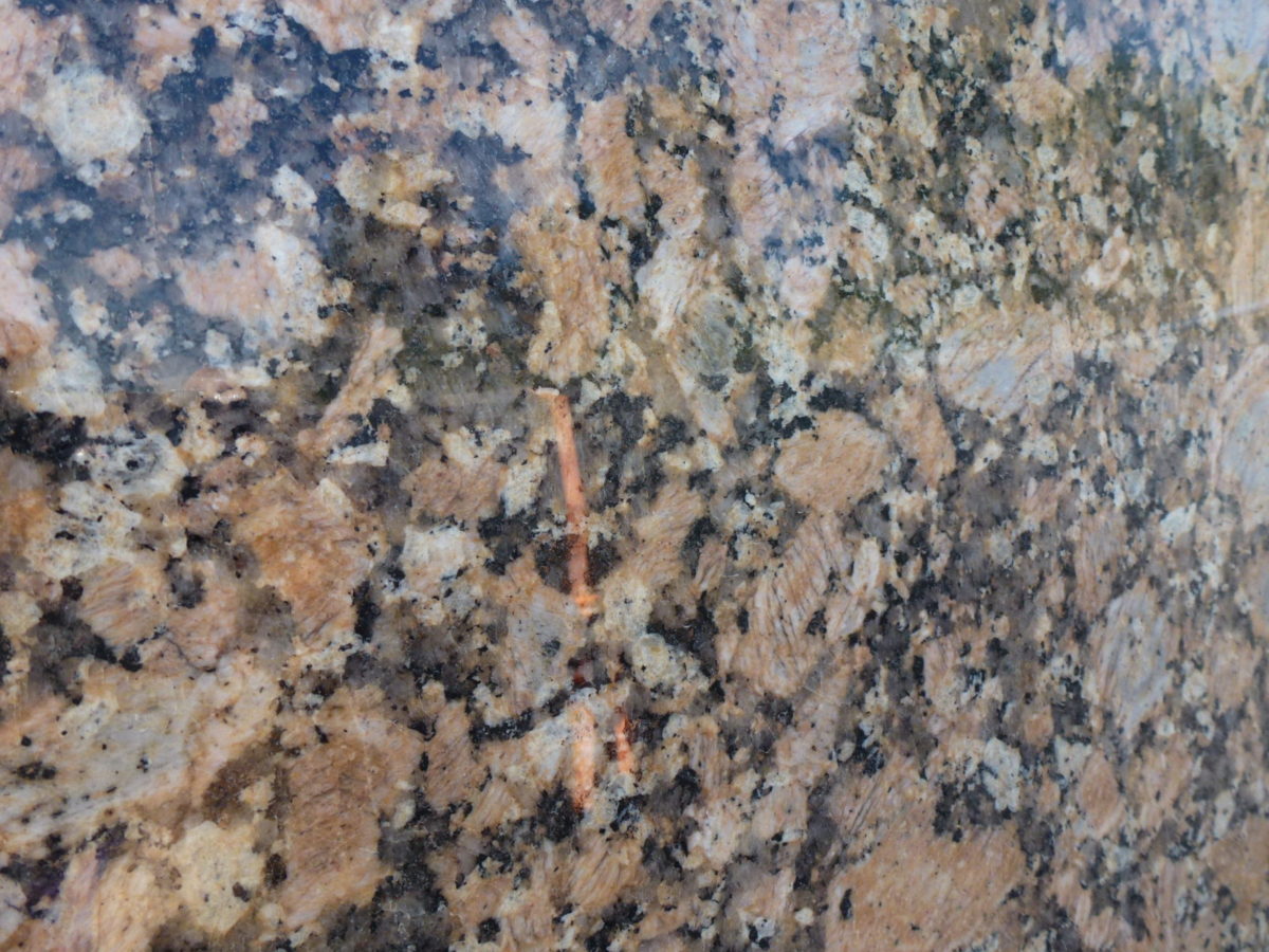 Giallo Fiorito – SBN